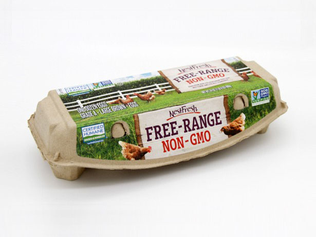 News-GreenLink Plastics