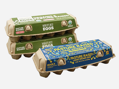 GreenLink Packaging | Egg Cartons, Fruit Containers, Food Containers ...